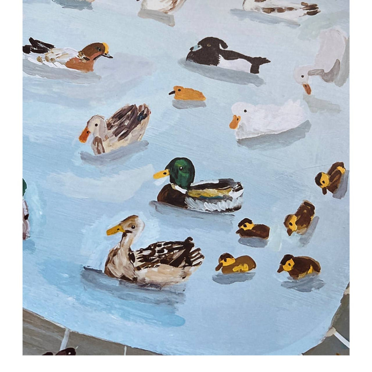 Duck Pond Gift Wrapping Paper Folded Sheet | The Curious Pancake