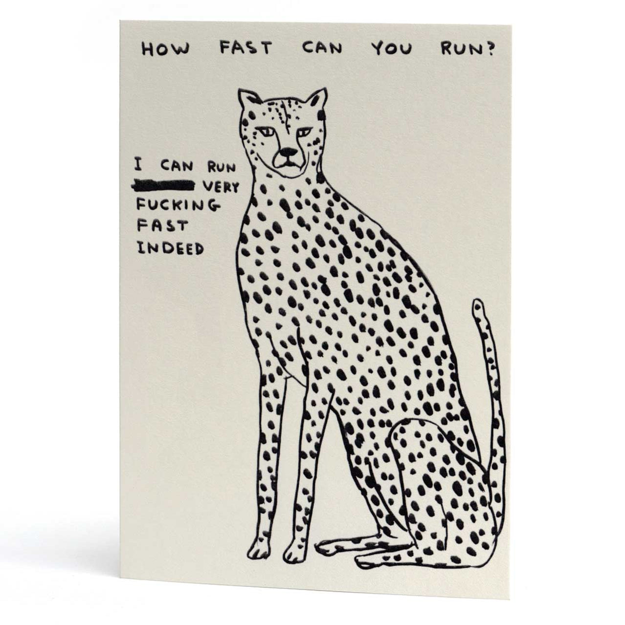David Shrigley Cards | The Curious Pancake